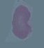 LOGY ATLAS | Clinical Morphology & Diagnostic Index